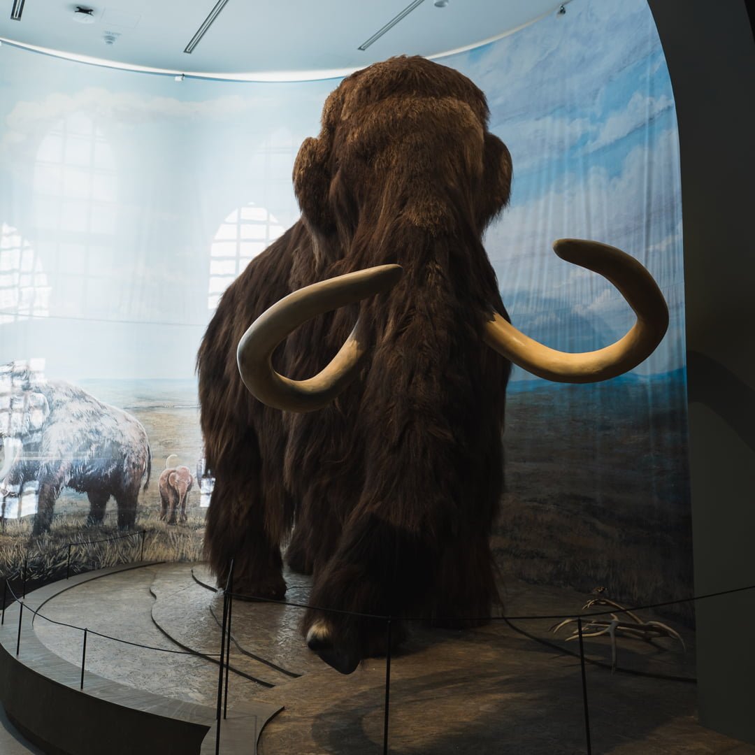 Kuopion museot ja historialliset kohteet