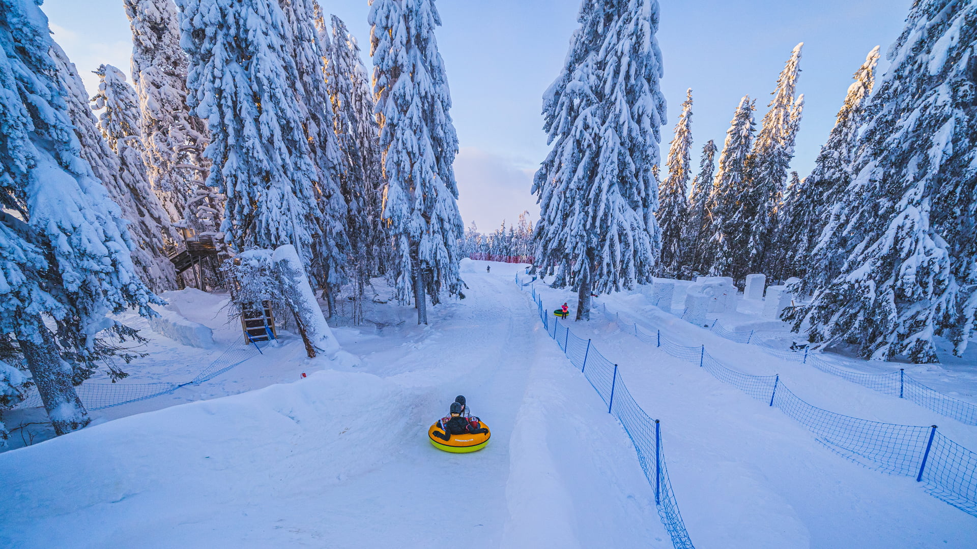 Puijo Peak | Nature Activity Park