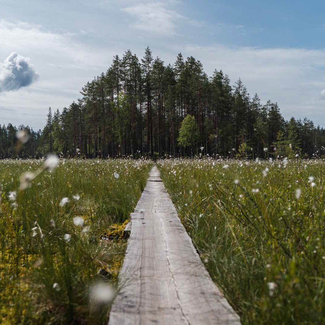 Sights in Kuopio and North Savo